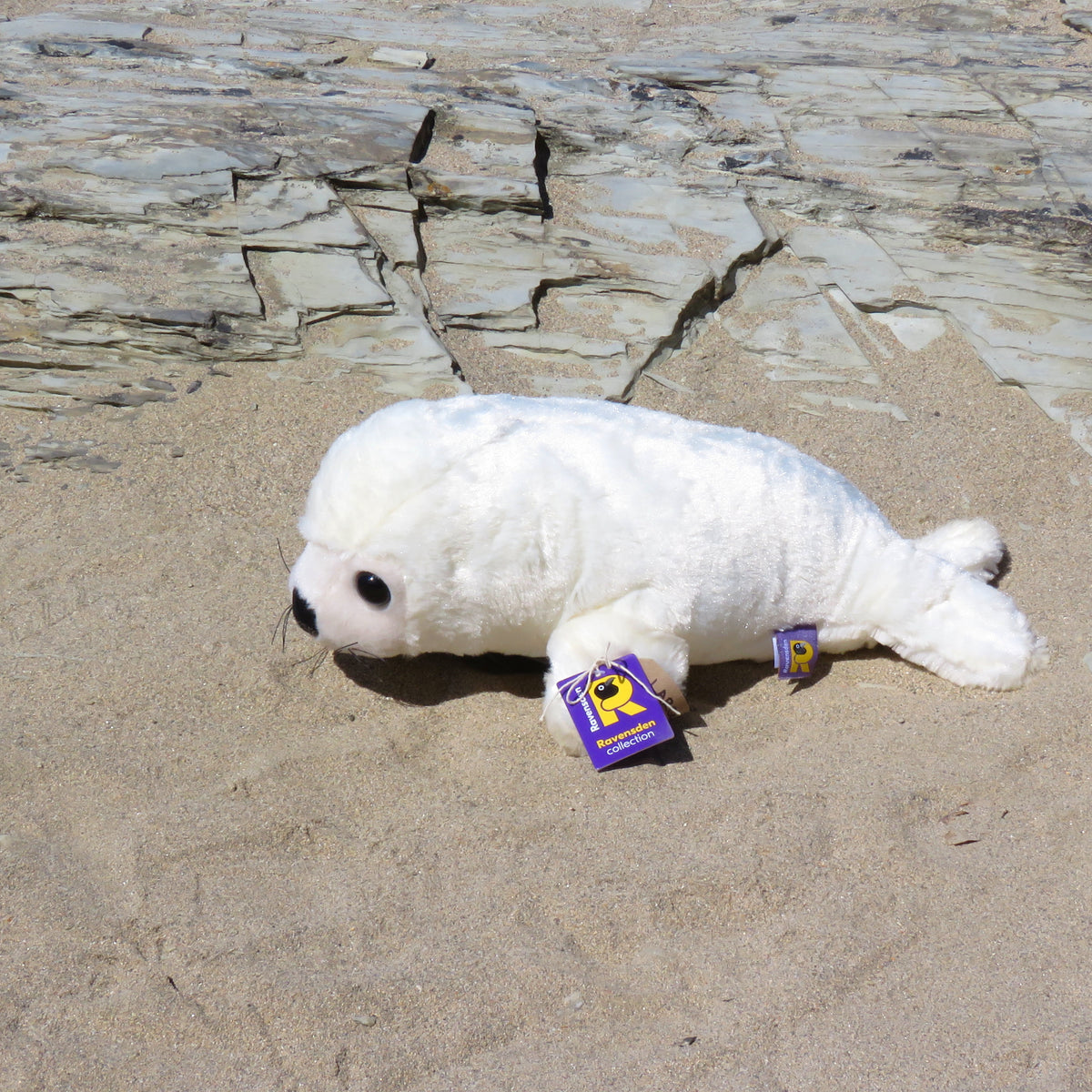 White Fluffy Seal Toy – Seal Research Trust